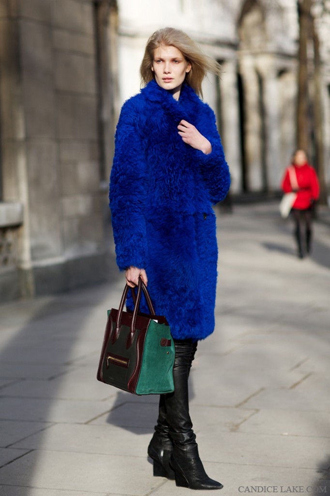 Colorful Furs – CHIC OBSESSION